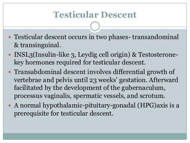 Undescended Testis