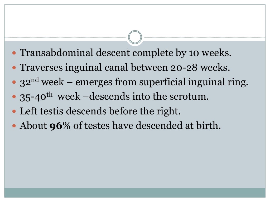 Undescended Testis
