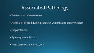 UNDESCENDED TESTIS.pptx