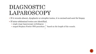 undescended testis.pptx
