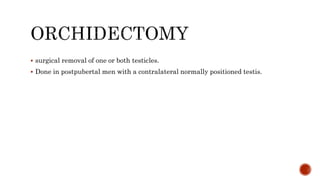undescended testis.pptx