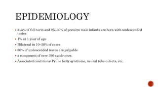 undescended testis.pptx
