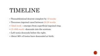 undescended testis.pptx