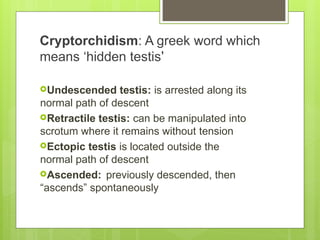 Undescended testis powerpoint presentation | PPTX