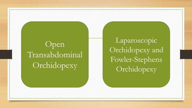 Undescended Testis (UDT) | PPTX | Infertility | Reproductive Health