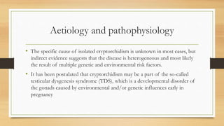 Undescended Testis (UDT) | PPTX