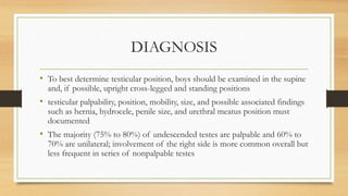 Undescended Testis (UDT) | PPTX