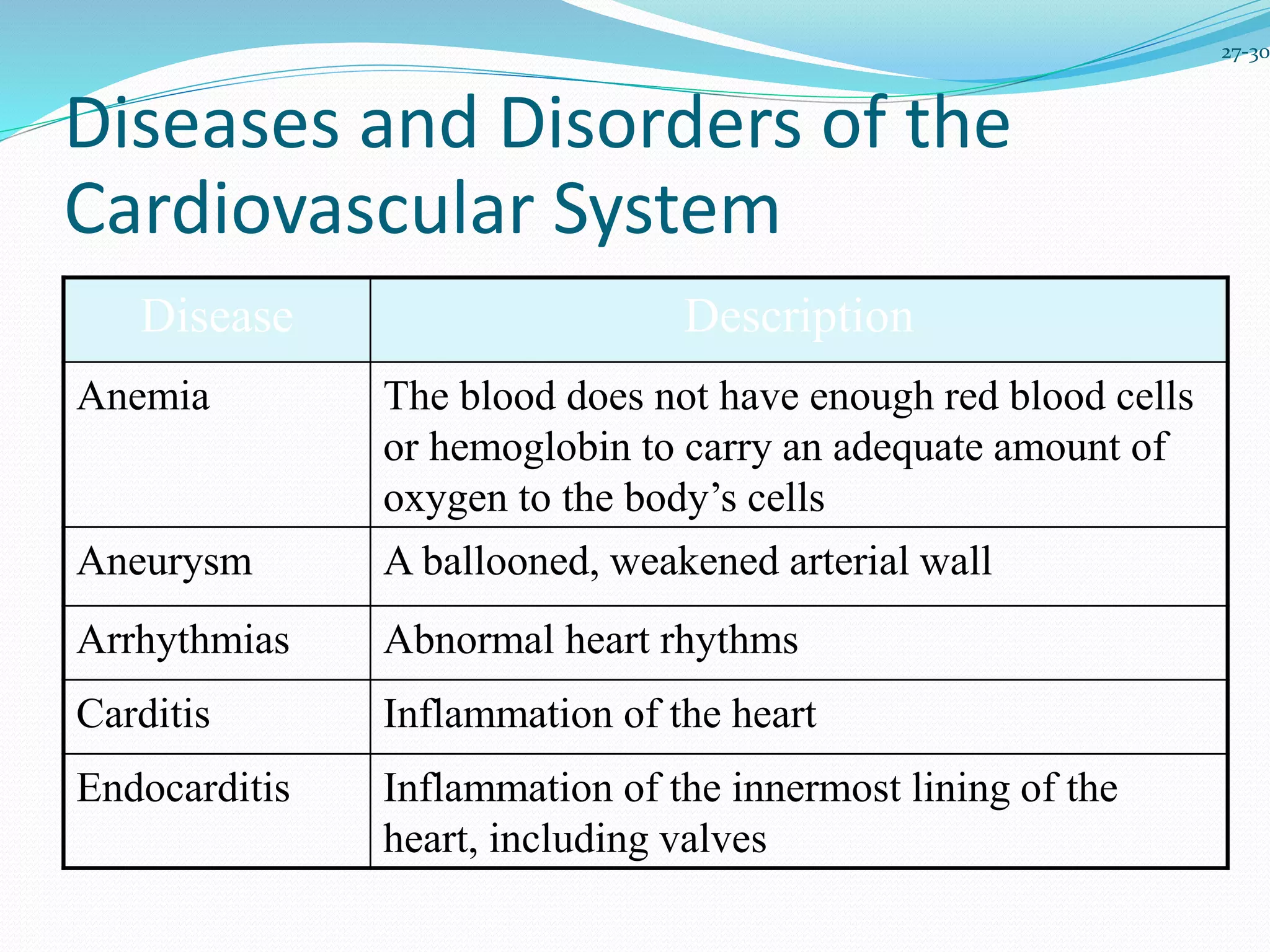 Anatomy lab. 6 cardiovascular sys. | PPTX | Heart and Cardiovascular ...