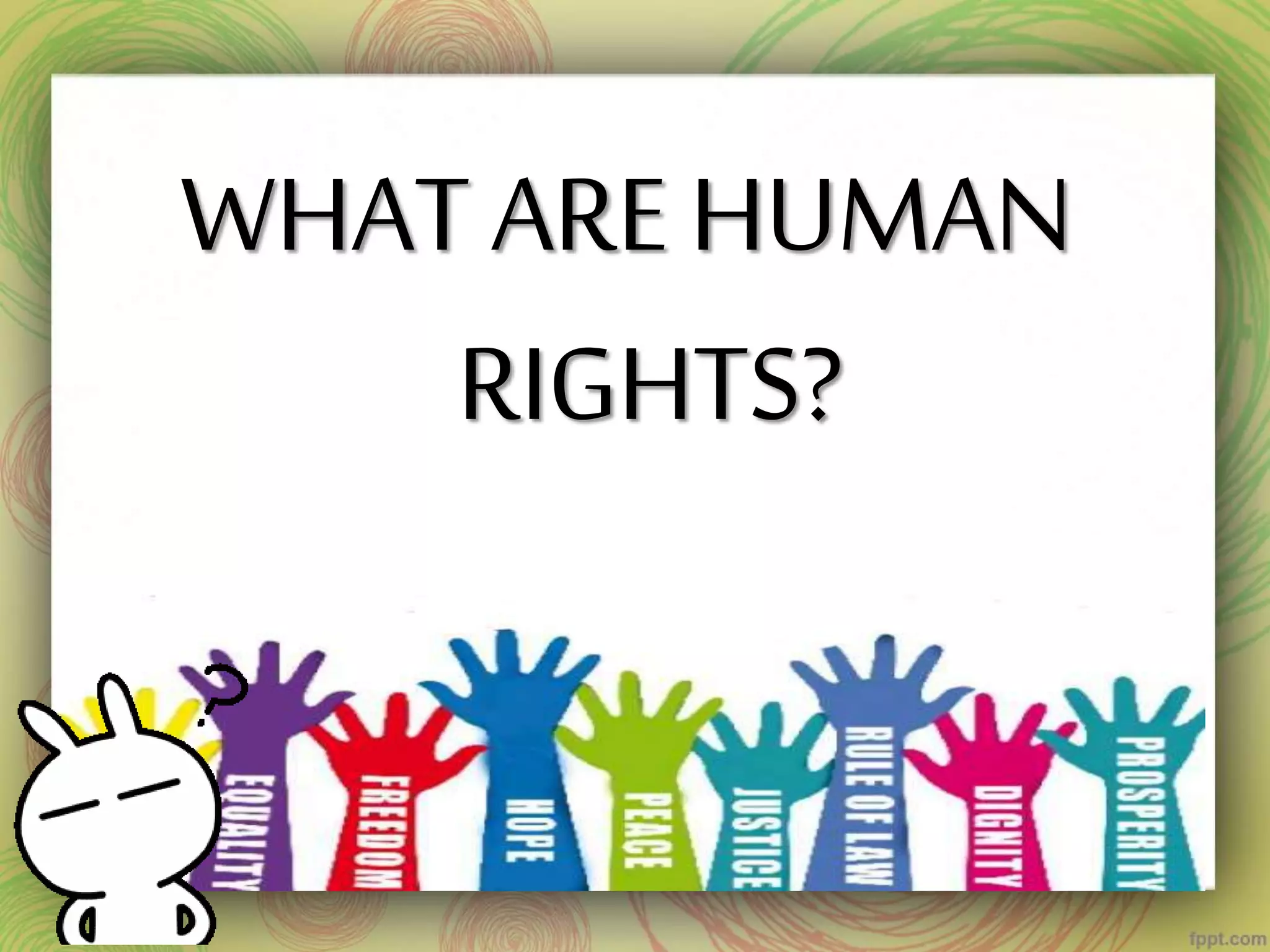 United Nations Universal Declaration on Human Rights | PPTX | Law