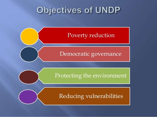 UNDP