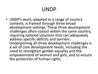 UNDP.pptx