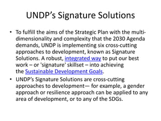 UNDP.pptx