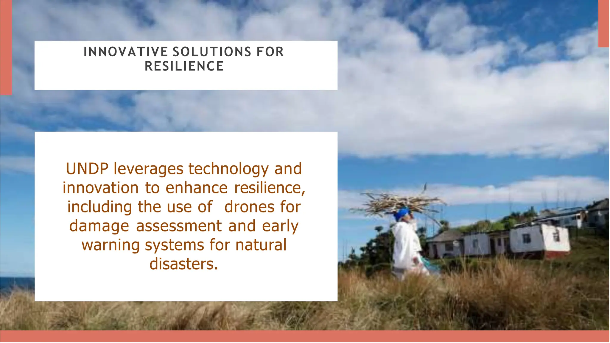 Role of United Nations development Program in disaster management | PPTX