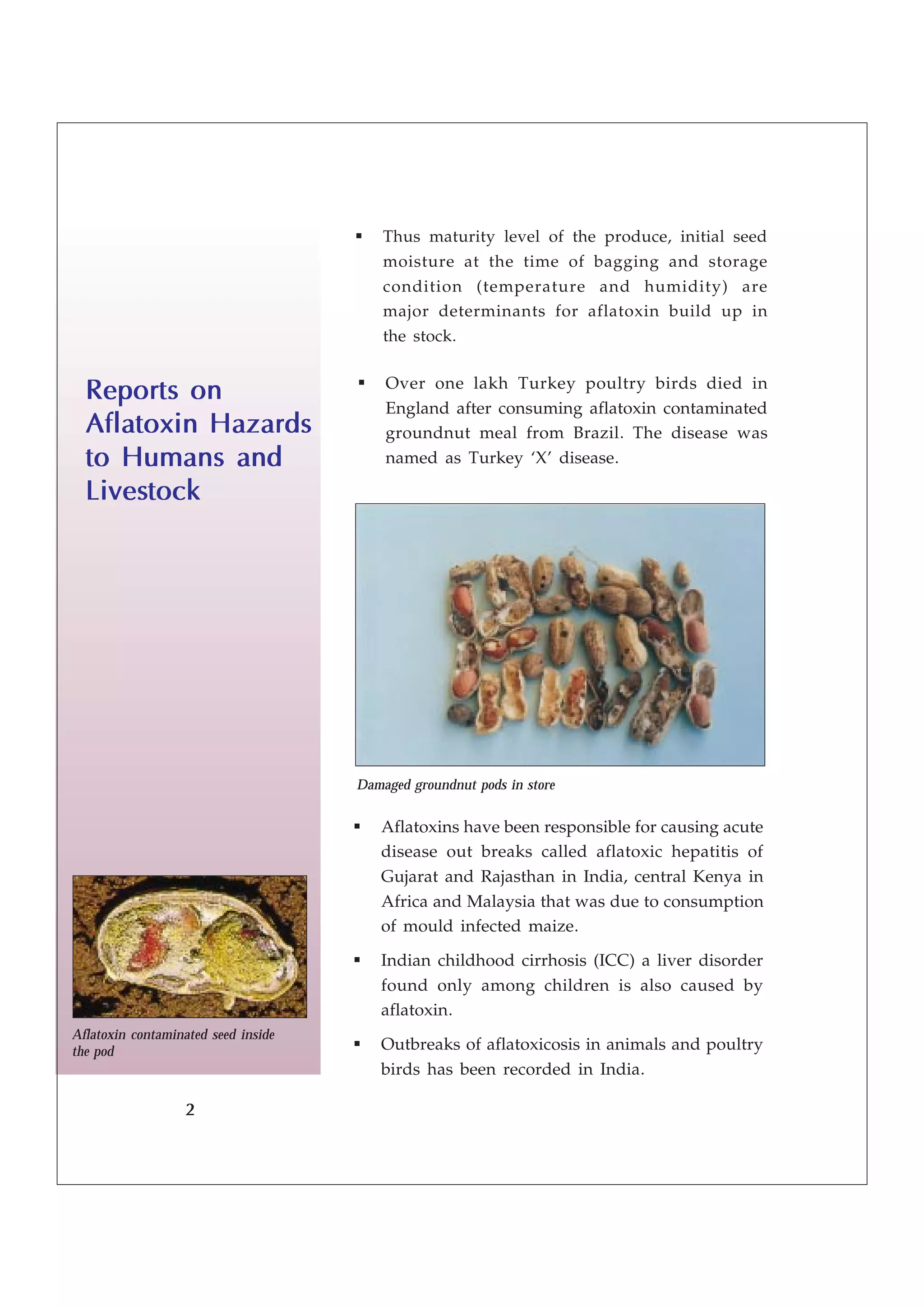 Aflatoxin Management in Groundnut - Farmers' Friendly Technique | PDF
