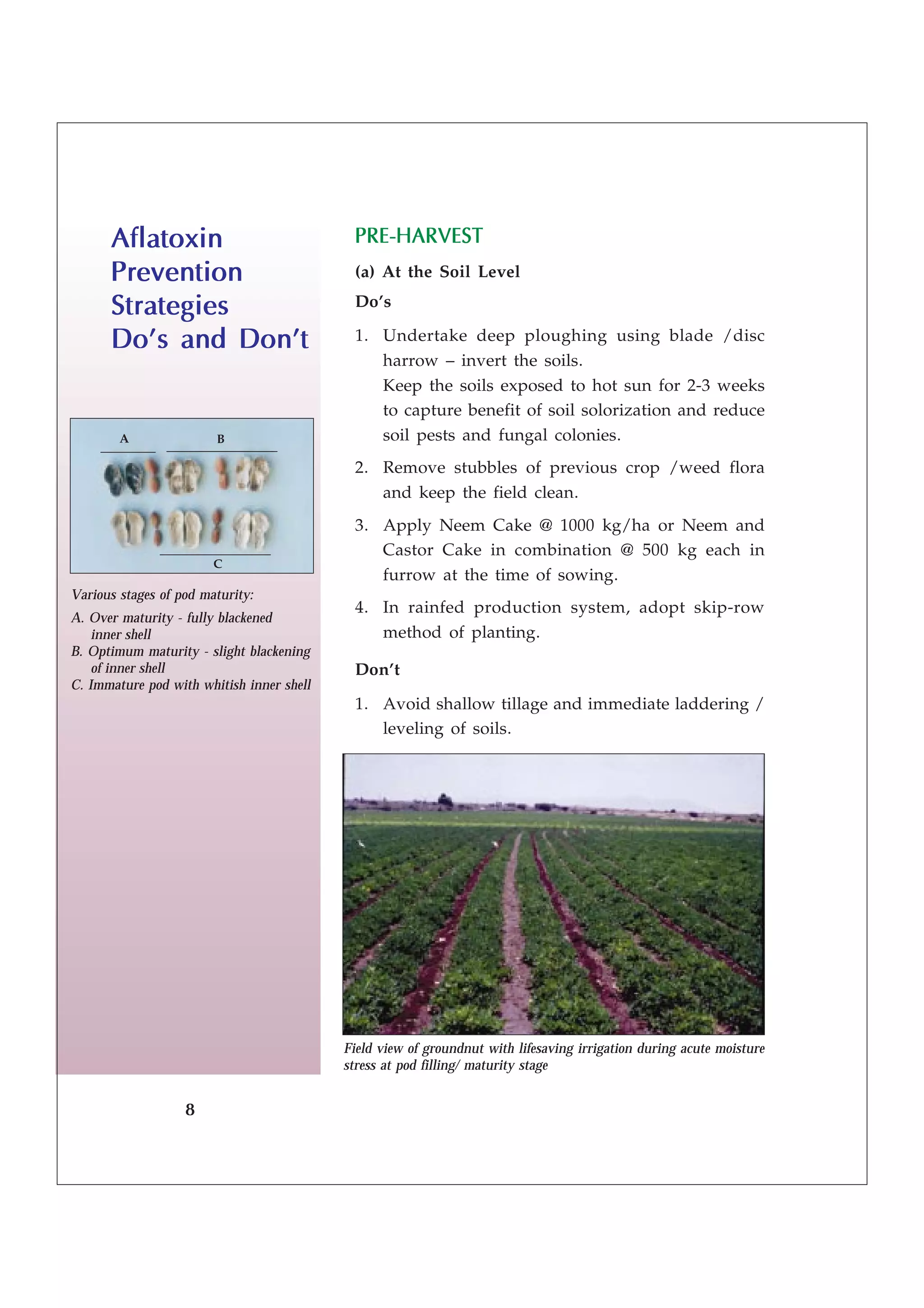 Aflatoxin Management in Groundnut - Farmers' Friendly Technique | PDF