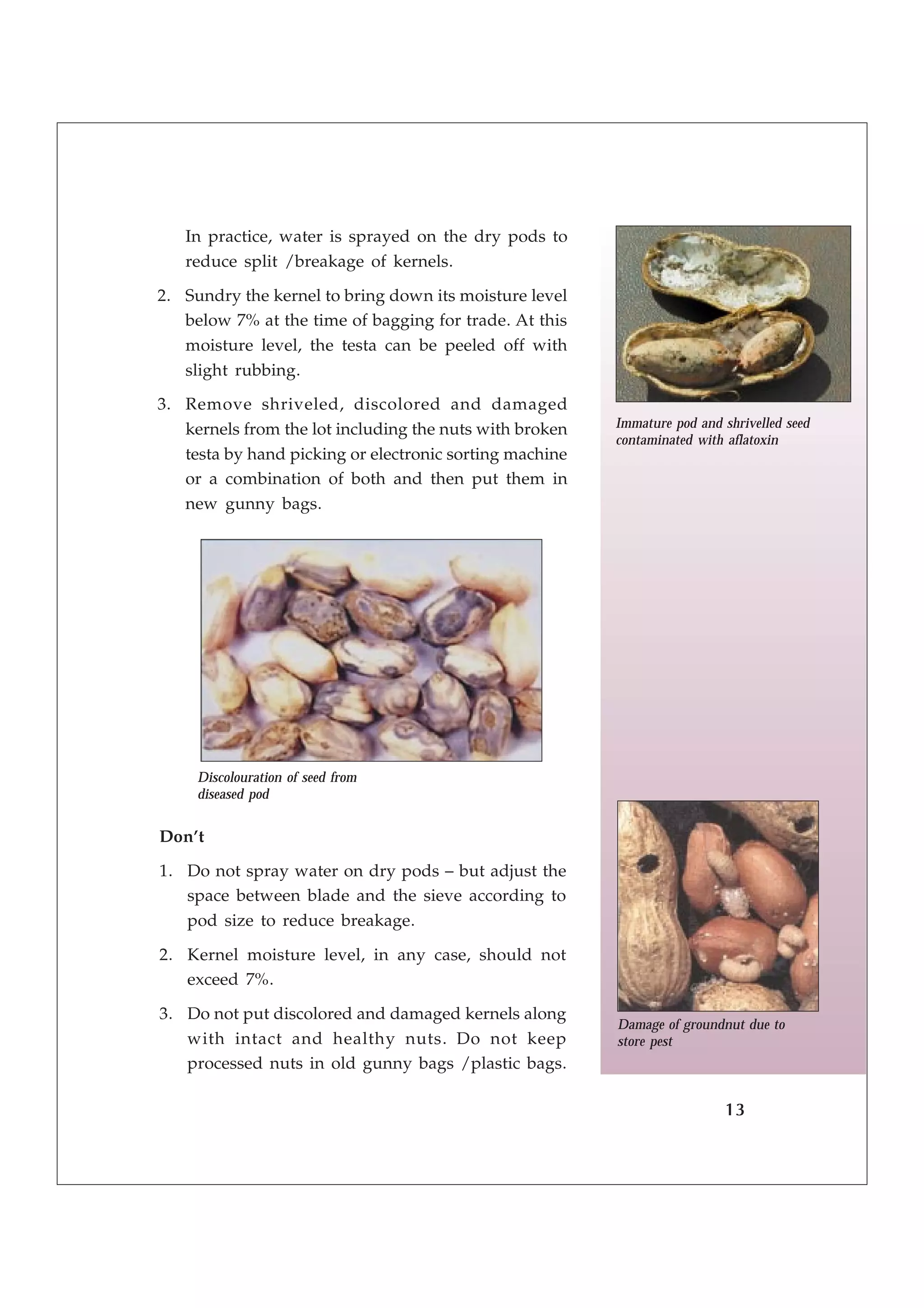 Aflatoxin Management in Groundnut - Farmers' Friendly Technique | PDF