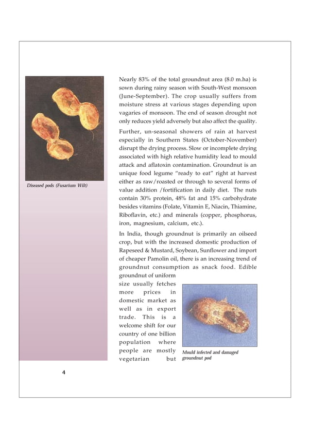Aflatoxin Management in Groundnut - Farmers' Friendly Technique | PDF
