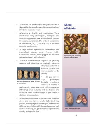 Aflatoxin Management in Groundnut - Farmers' Friendly Technique | PDF