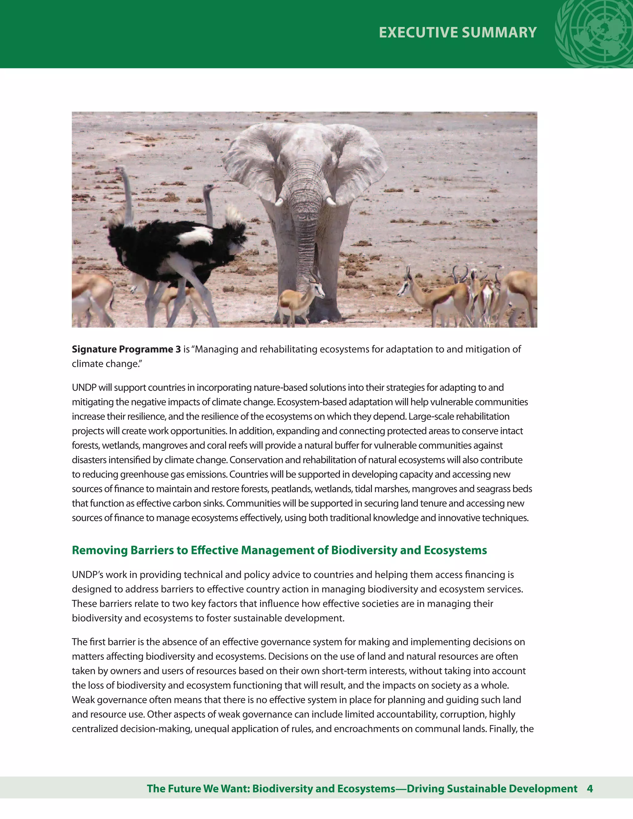 Undp biodiversity-and-ecosystems-global-framework-2012-2020 | PDF
