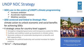 UNDP Offer on Climate Change & Health | PDF | Non-Profit Organizations ...