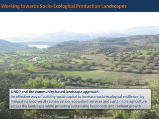 Investing in Community-based Resilience of Socio-Ecological Production ...