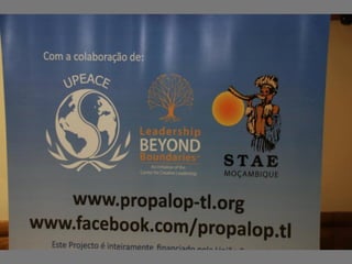 UNDP Leadership Beyond Boundaries November 2011 Values Explorer | PDF