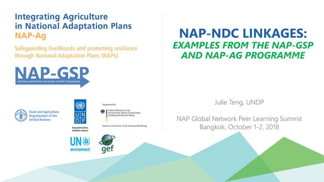 NAP-NDC Linkages: Examples from the NAP-GSP and NAP-Ag Programme