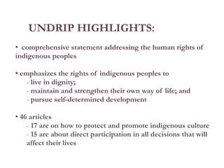 UNDRIP2010 HIGHLIGHTS articles, significance and laws | PPT