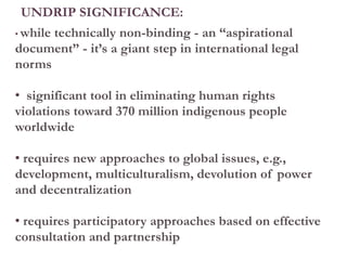 UNDRIP2010 HIGHLIGHTS articles, significance and laws | PPT