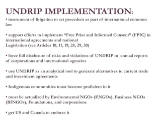 UNDRIP2010 HIGHLIGHTS articles, significance and laws | PPT