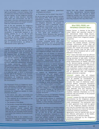 Understanding and Implementing the UN DECLARATION ON THE RIGHTS OF ...