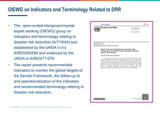 UNDRR SIDS MVI Webinar.pptx