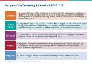 UNDRR SIDS MVI Webinar.pptx