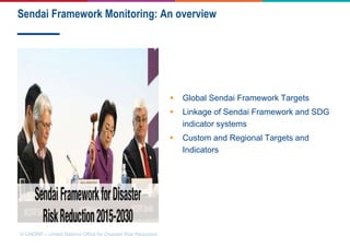 UNDRR SIDS MVI Webinar.pptx