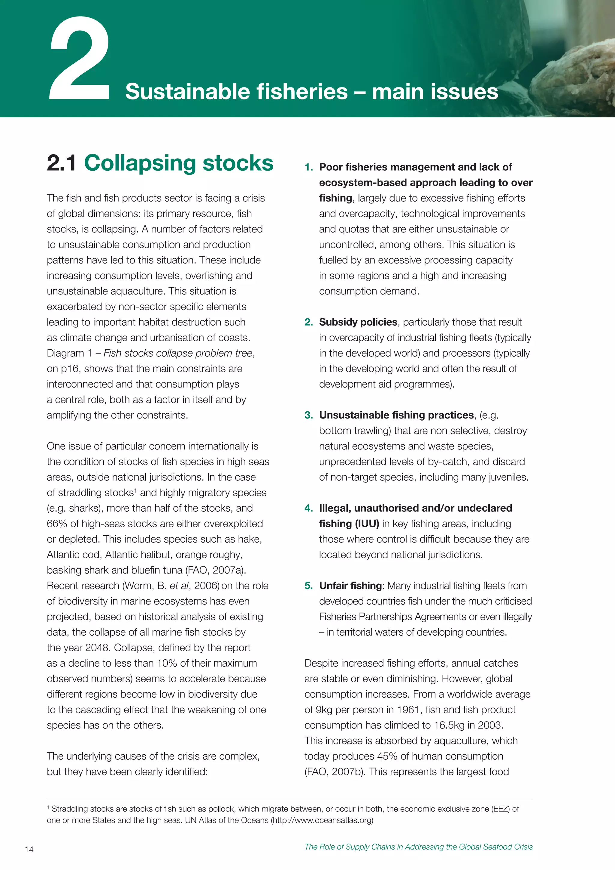 Unep fish supply chains report | PDF