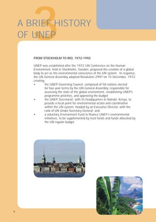 UNEP Organization Profile layout and design. | PDF