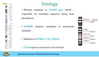 Uner tan syndrome | PPTX | Genetics | Science
