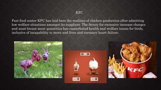 Unethical practices during food production | PPTX