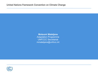 UNFCCC Overview of Process to Formulate and Implement NAPs - National ...