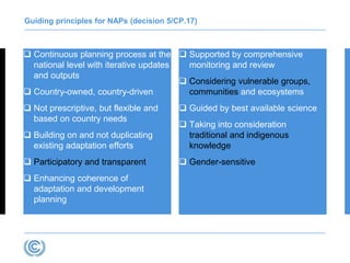 UNFCCC Overview of Process to Formulate and Implement NAPs - National ...