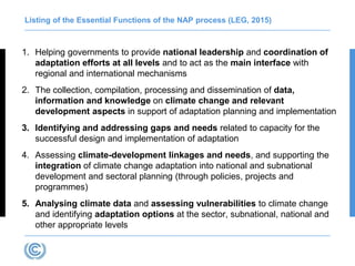 UNFCCC Overview of Process to Formulate and Implement NAPs - National ...