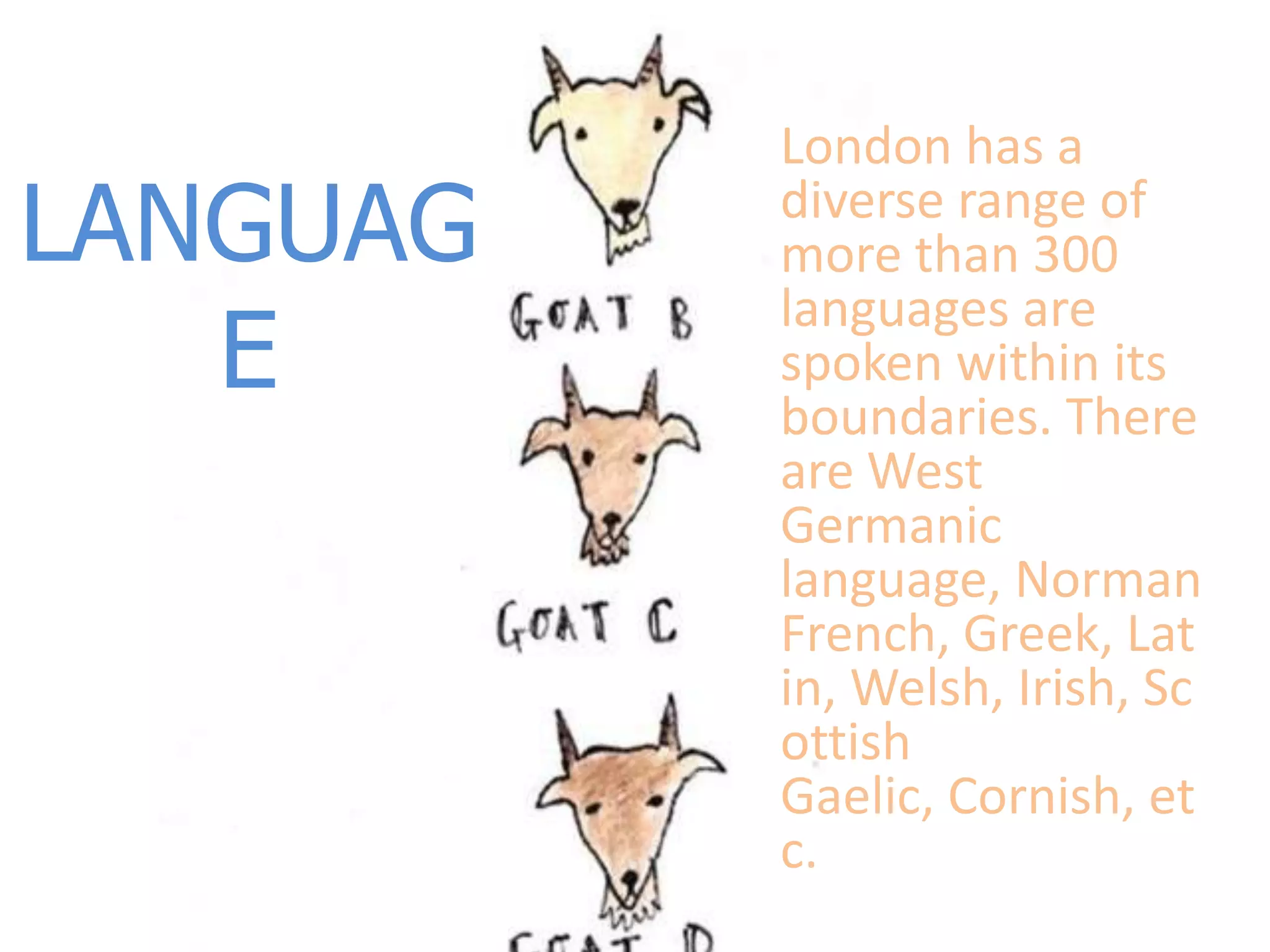 Cultural Diversity In Britain | PPTX