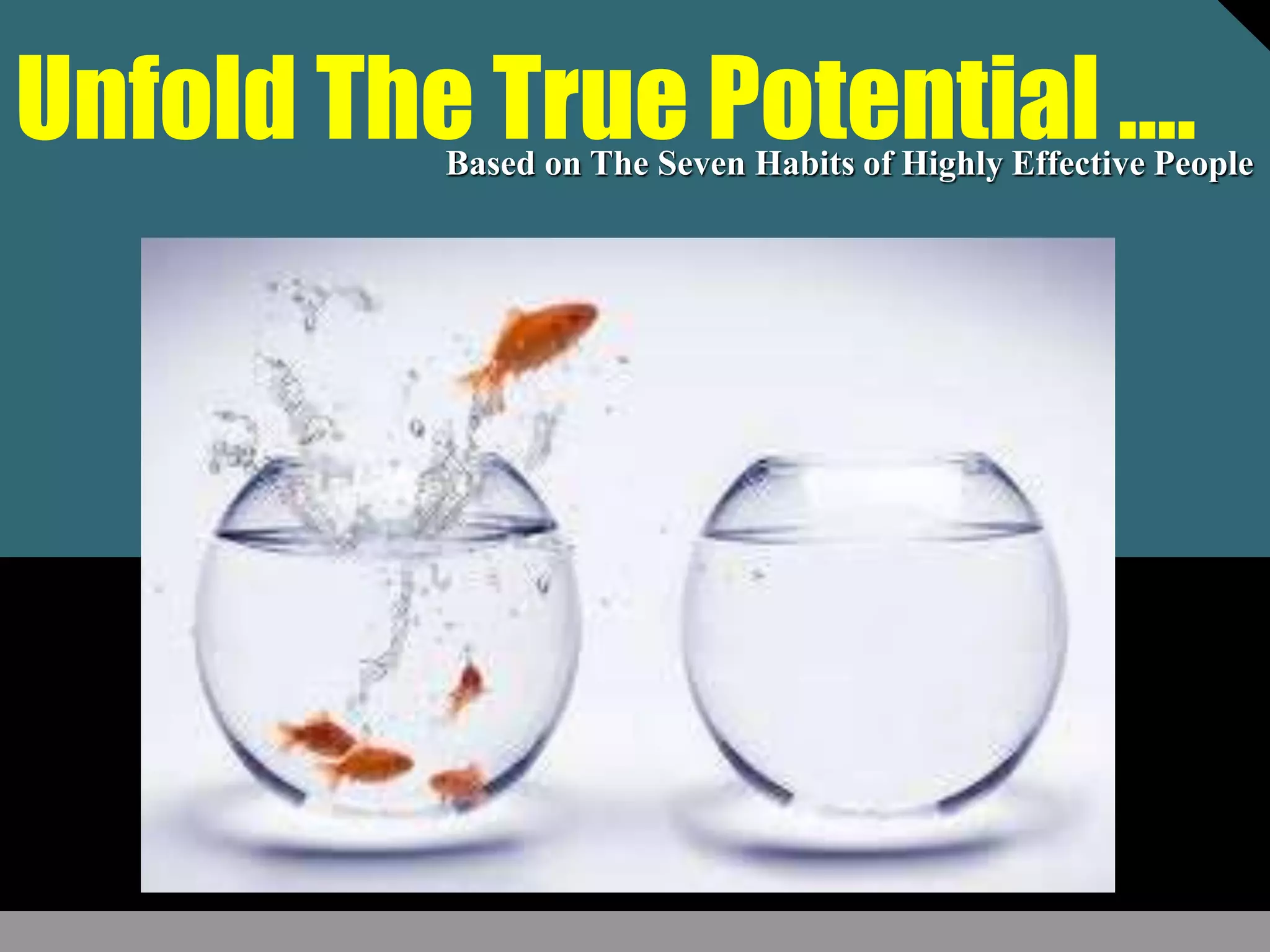 Unfold the true potential | PPSX