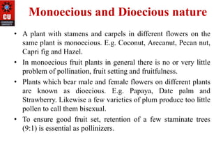 Unfruitfulness (1).ppt