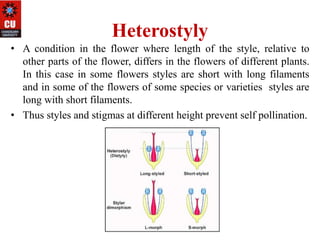 Unfruitfulness (1).ppt