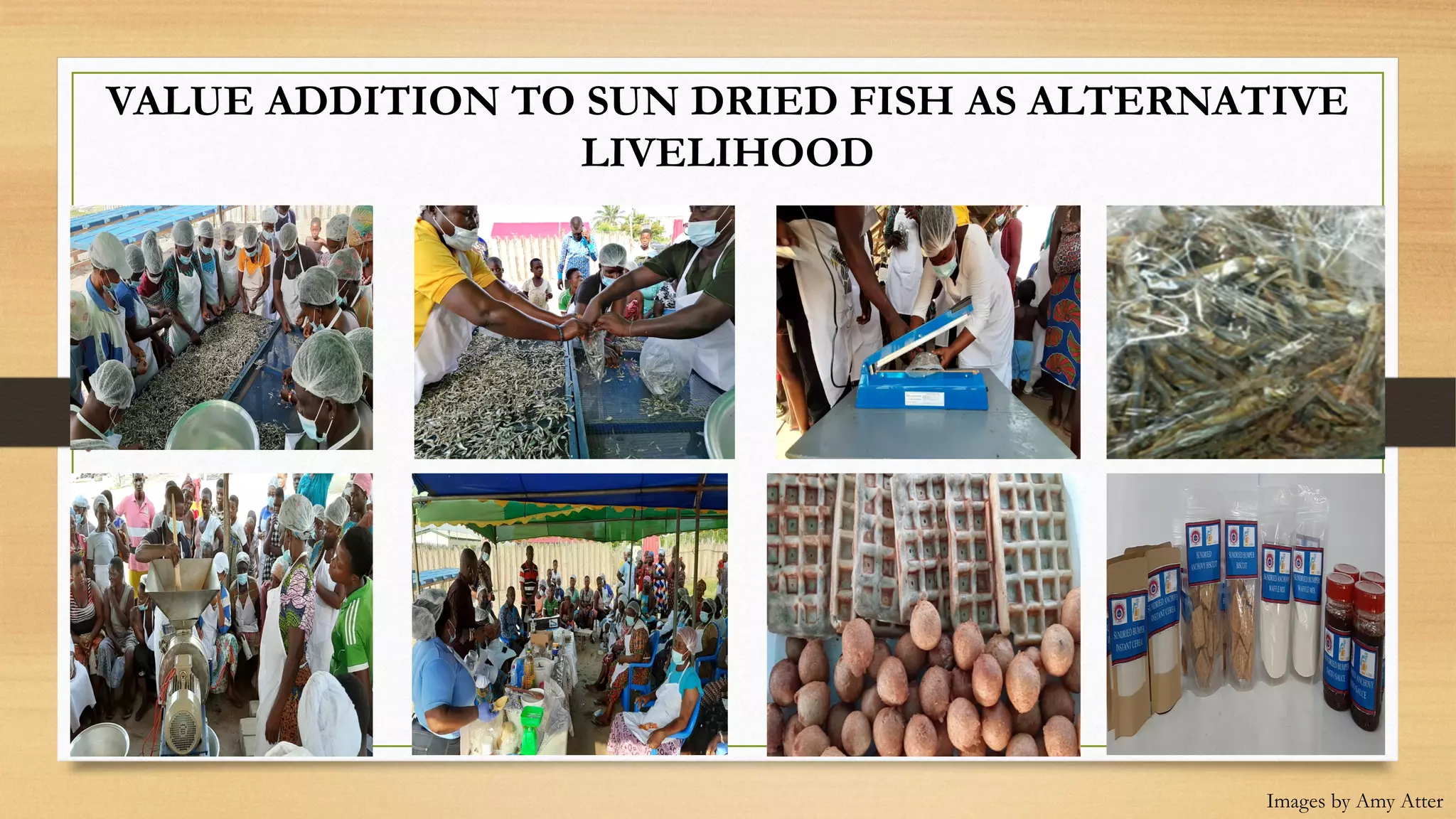 Transforming food systems with aquatic foods: Advancing equitable livelihoods for healthy people ...