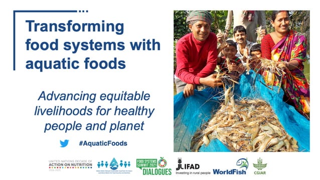 Transforming food systems with aquatic foods: Advancing equitable ...