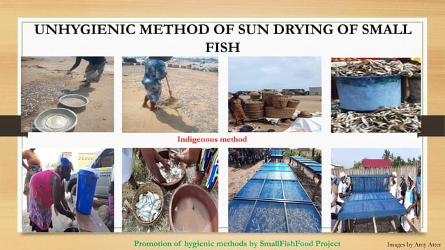 Transforming food systems with aquatic foods: Advancing equitable ...