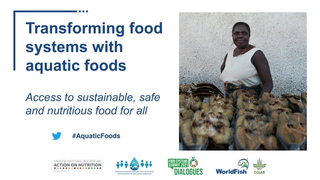 Transforming food systems with aquatic foods: Access to sustainable ...