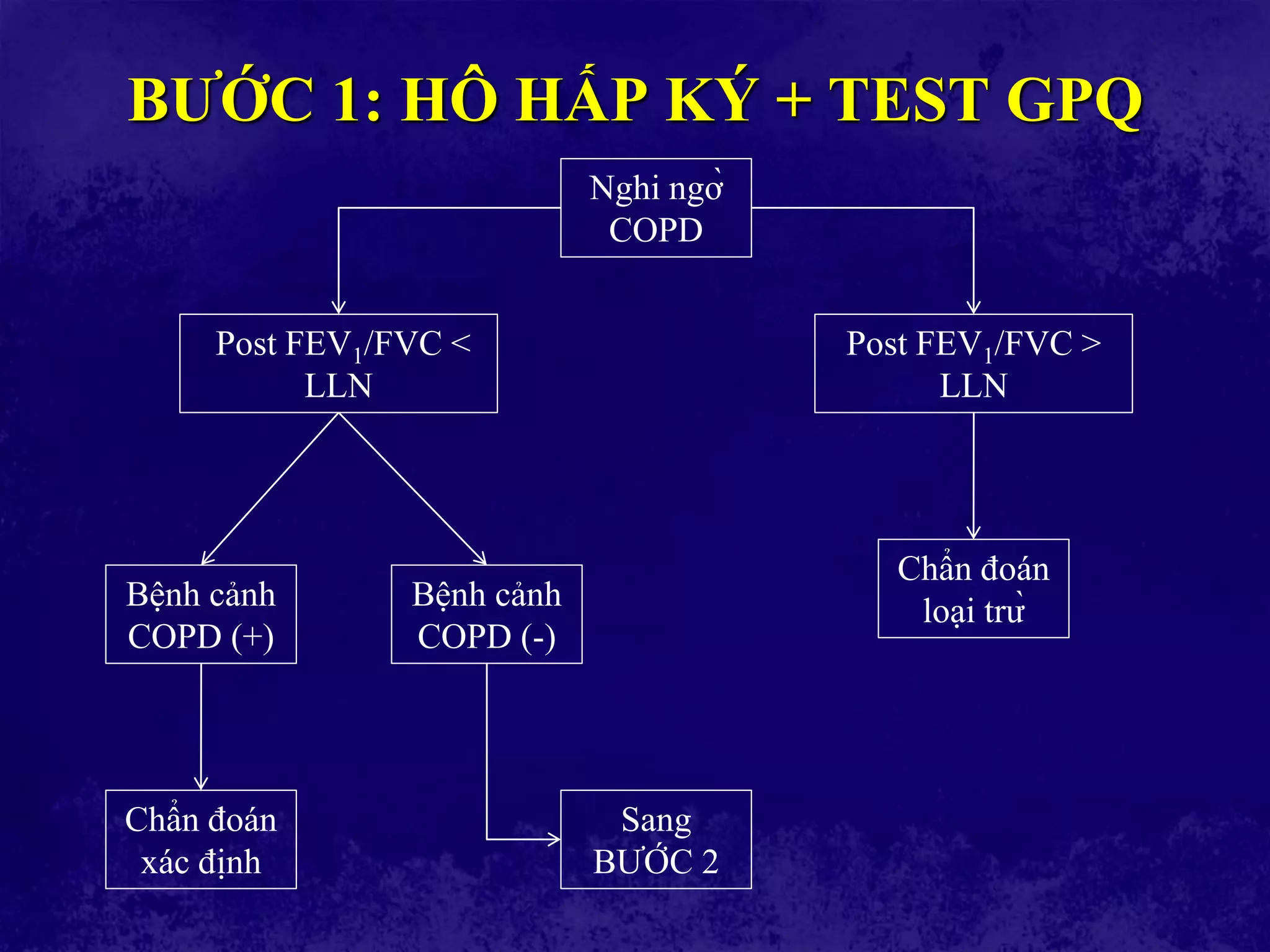 ỨNG DỤNG HÔ HẤP KÝ VÀ LƯU LƯỢNG ĐỈNH KÝ ĐỂ CHẨN ĐOÁN HEN VÀ COPD | PDF